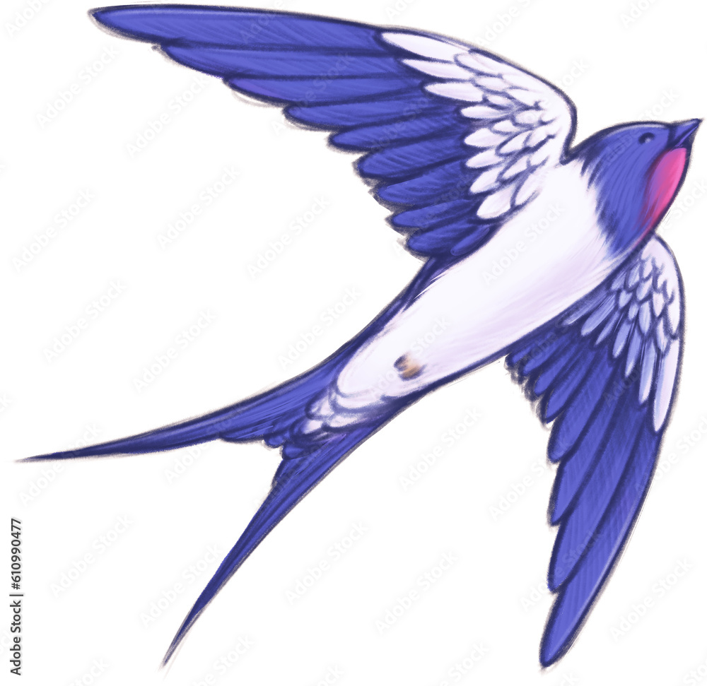 Flying bird swallow illustration hand drawn. Blue swallow bird drawing ...