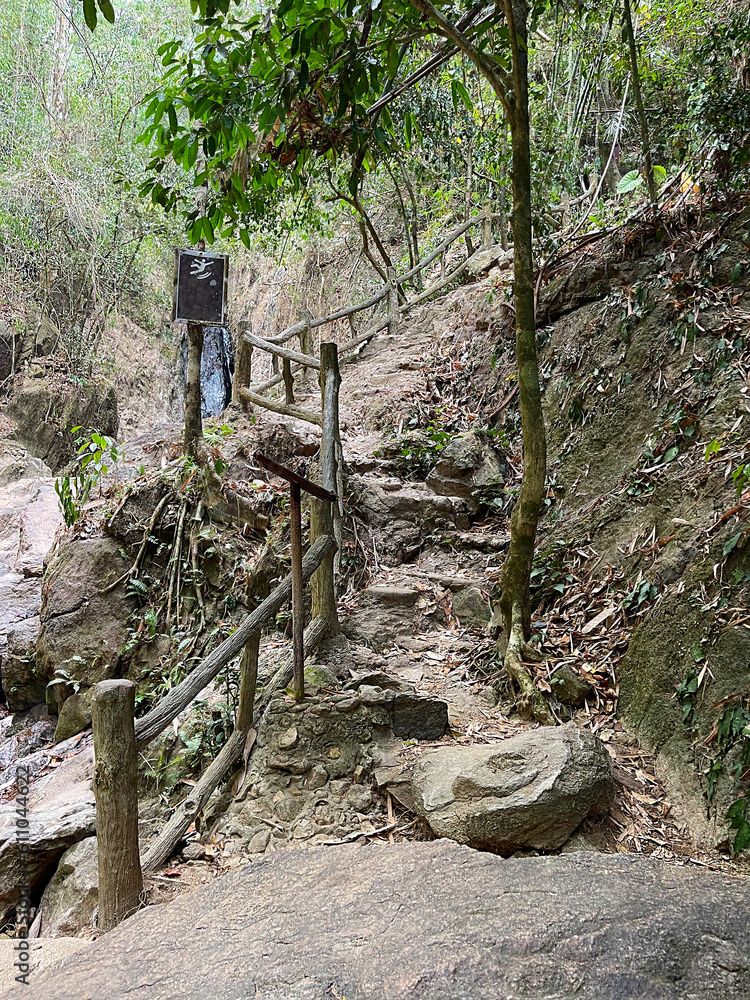 Old trail in forest. Mountains. Narrow abandoned rocky road on edge of ...
