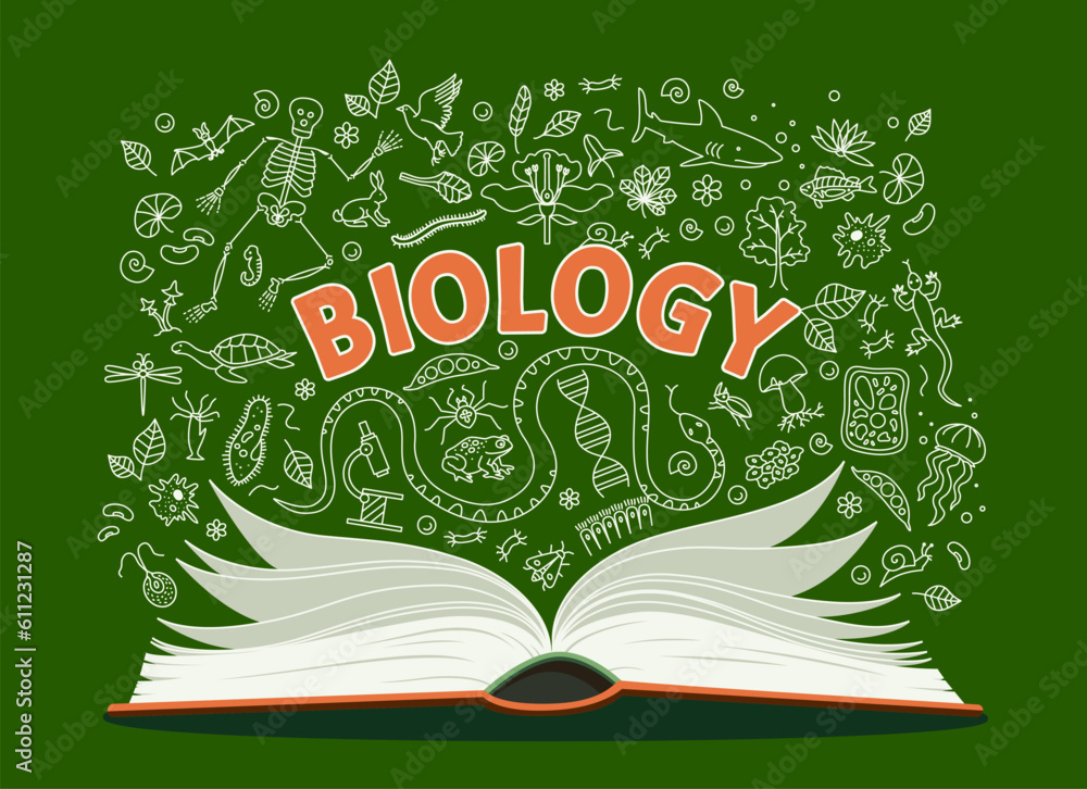 Biology textbook, school book and anatomy doodle symbols on chalkboard ...
