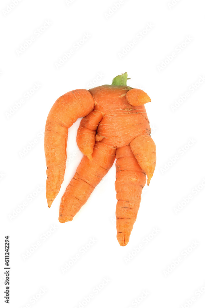 Forked and twisted deformed ugly carrot vegetable on white background ...