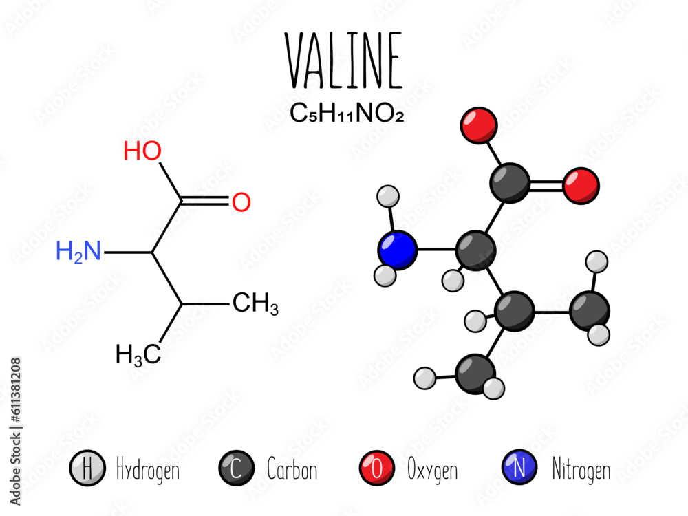 Valine amino acid representation. Skeletal formula and 2d structure ...