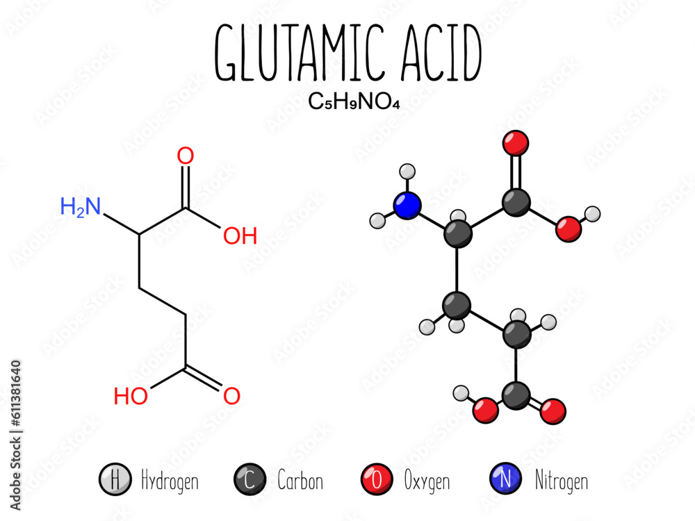 Glutamic acid amino acid representation. Skeletal formula and 2d ...