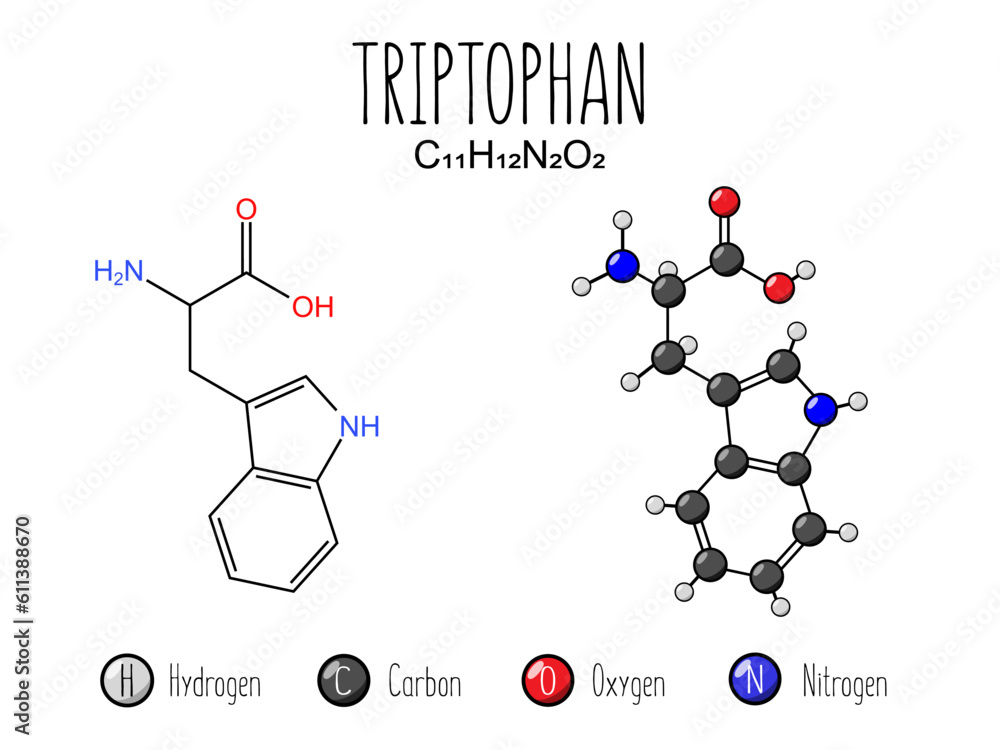 Triptophan amino acid representation. Skeletal formula and 2d structure ...