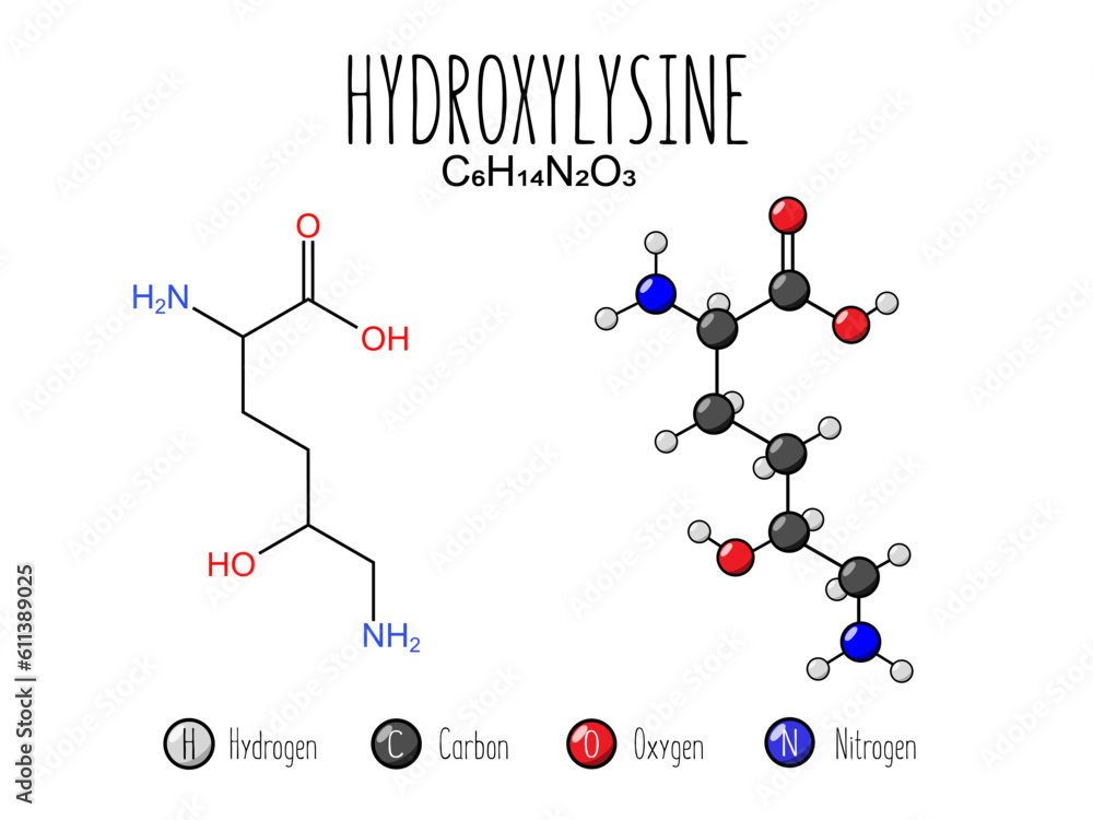 Vecteur Stock Hydroxylysine amino acid representation. Skeletal formula ...