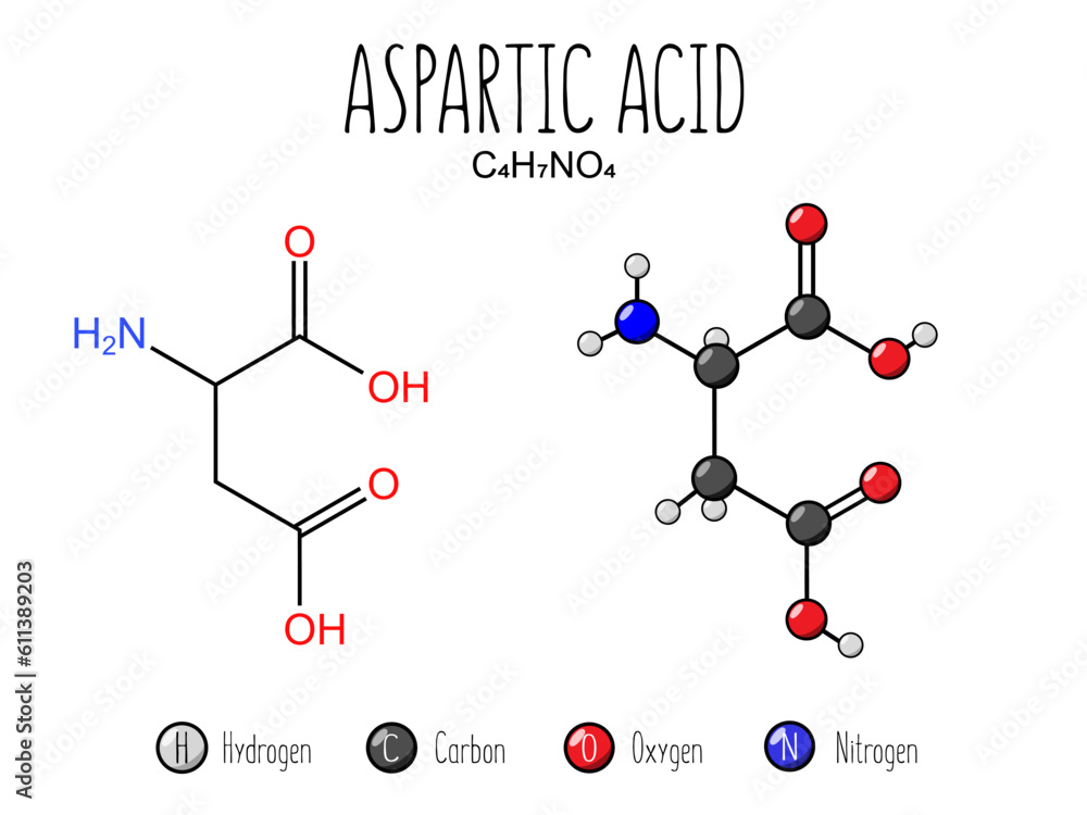 Aspartic acid amino acid representation. Skeletal formula and 2d ... Aspartic acid amino acid representation. Skeletal formula and 2d ...