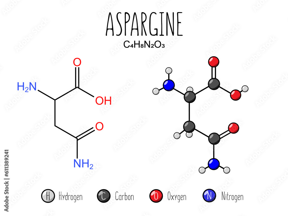 Aspargine amino acid representation. Skeletal formula and 2d structure ...