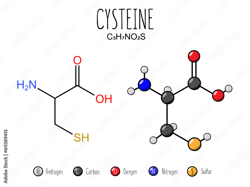 Cysteine amino acid representation. Skeletal formula and 2d structure ...