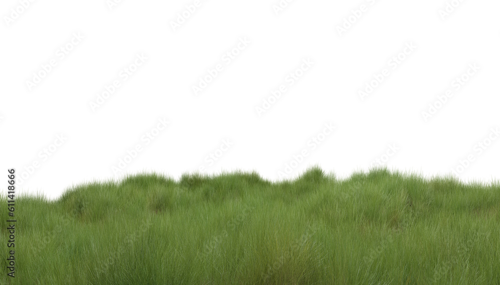 Green Grass on Transparent Background. A Versatile and Natural Design ...