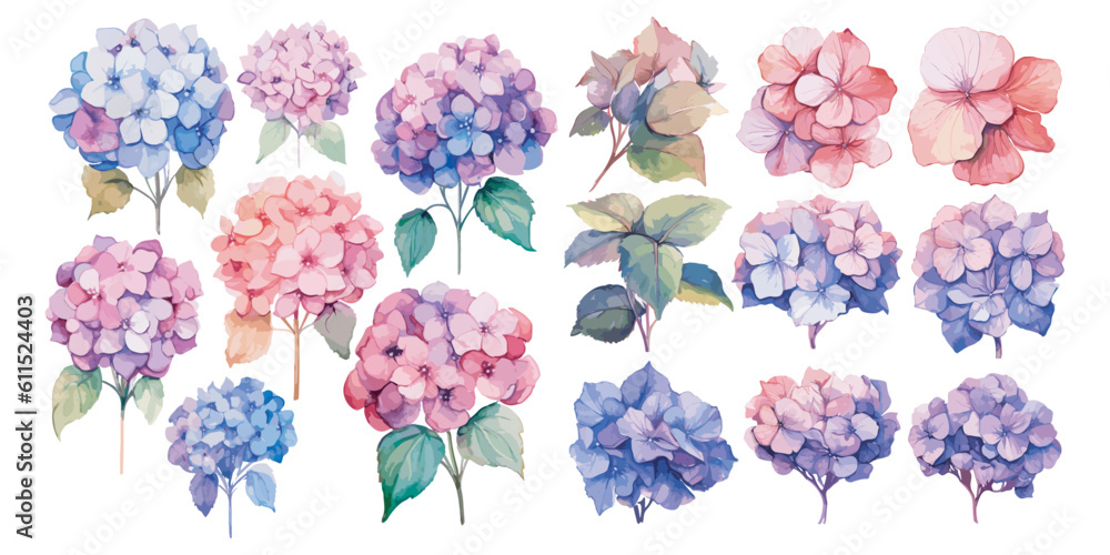 watercolor hydrangea clipart for graphic Stock Vector | Adobe Stock