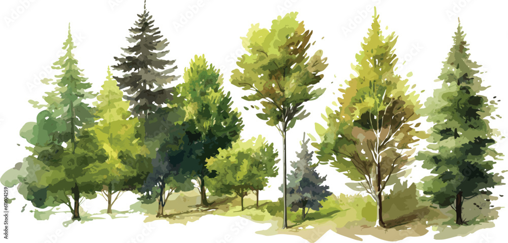 Tree watercolor style vector illustration, set of graphics trees ...