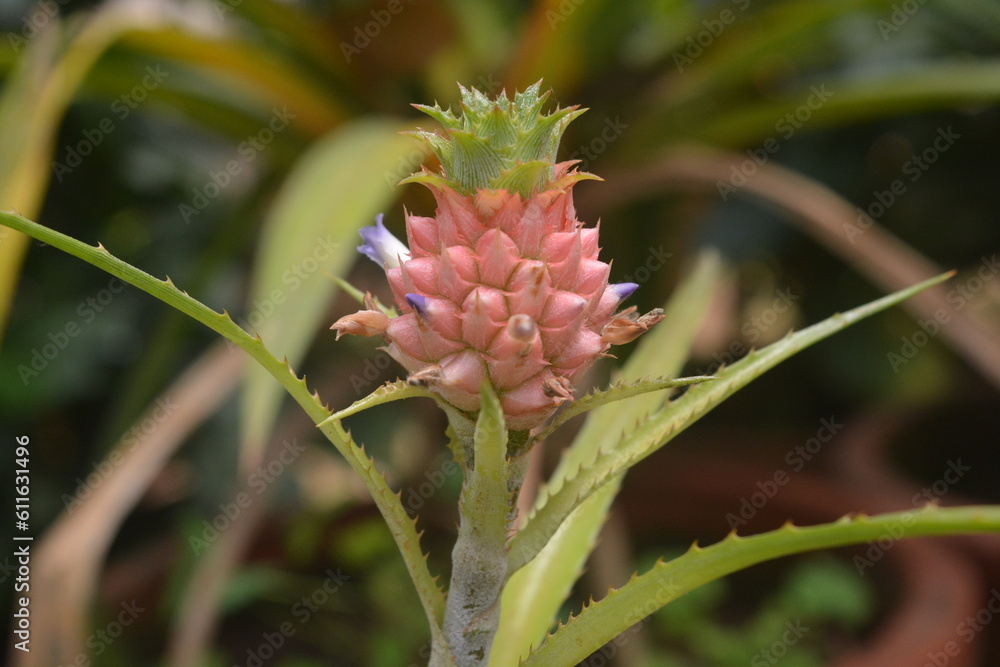 Travel; hills; seas Vacation; mountains; ocean Explore; countryside ...