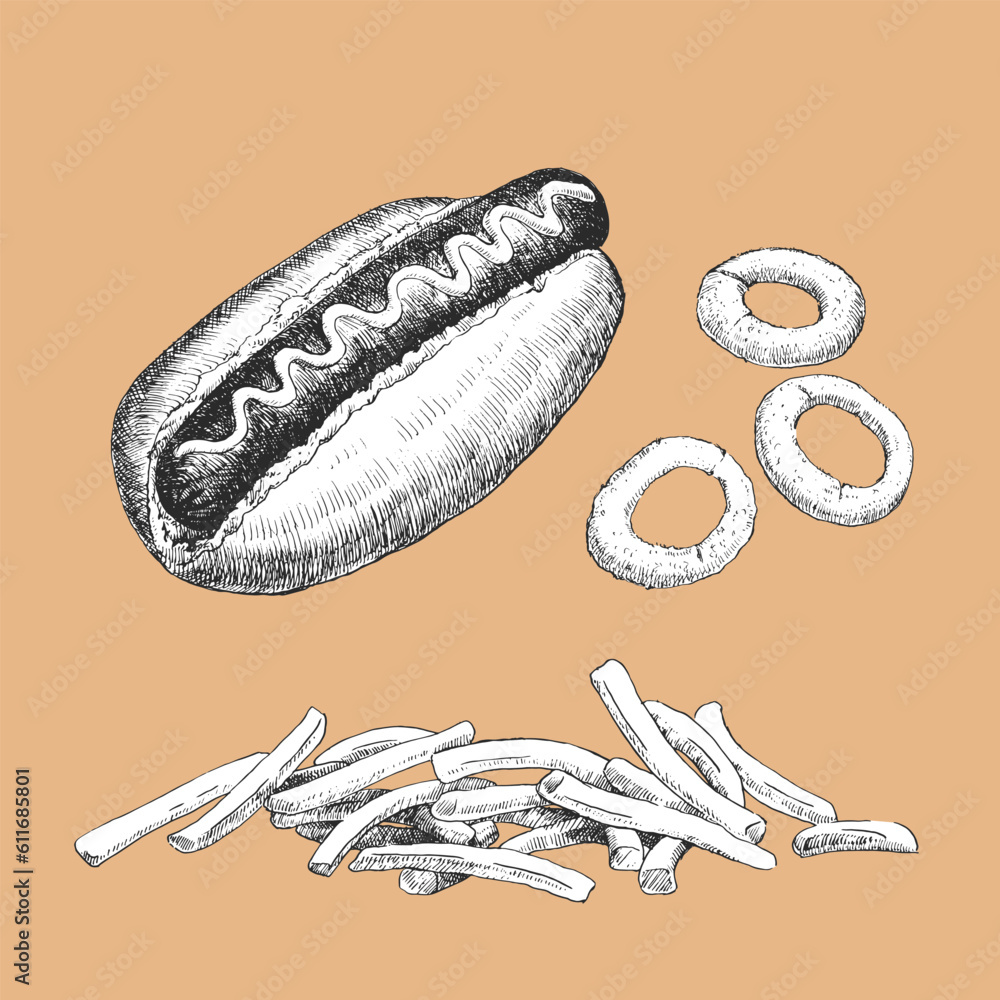 American dishes. Hand-drawn illustration of Hot Dog. Vector. Ink ...