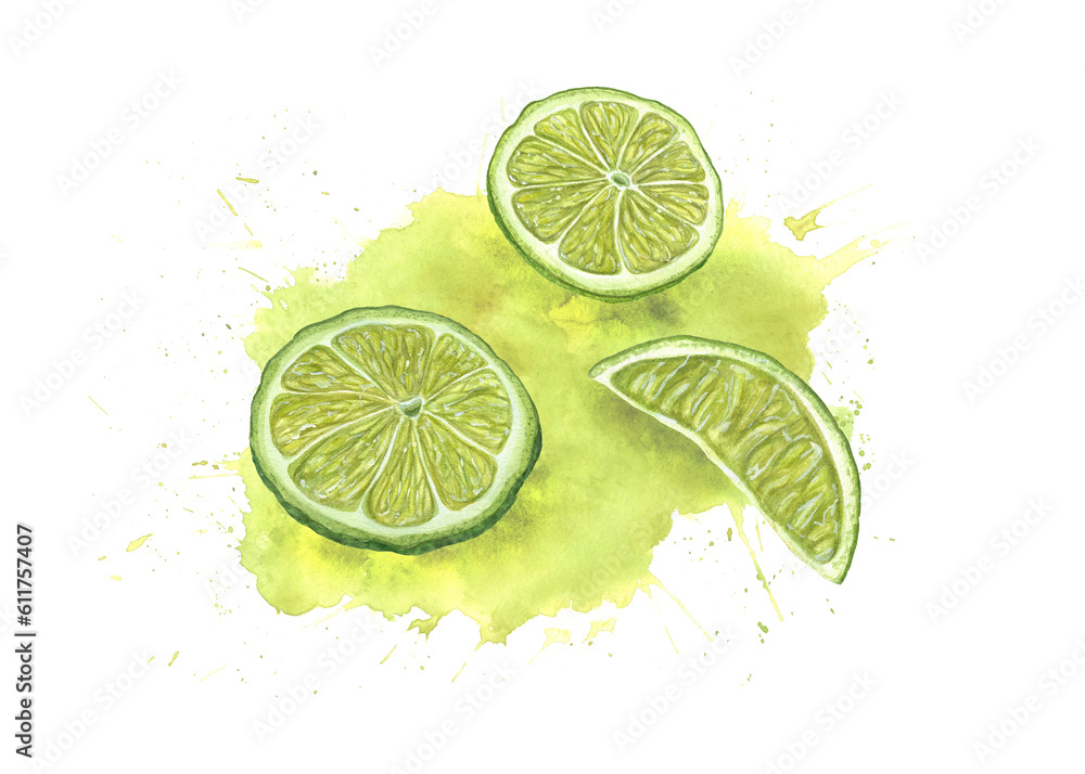 Watercolor fresh lime slices in juice splash isolated on transparent ...