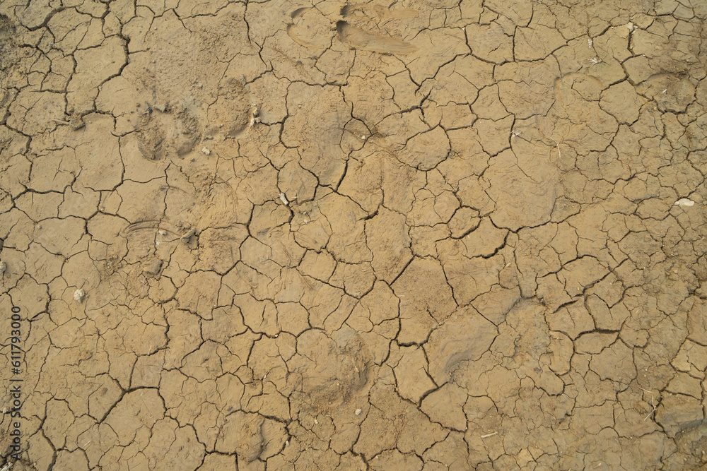 Dry ground rough cracks in the land with sand in paddy rice field ...
