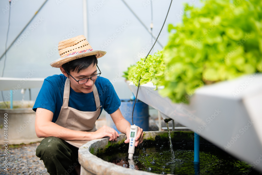 Researcher in uniform are checking with ph strips in hydroponic farm ...