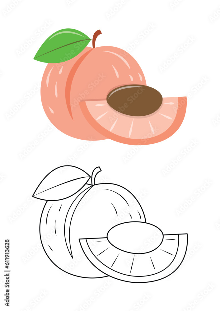 Apricot fruit cute vector illustration cartoon isolated on white ...