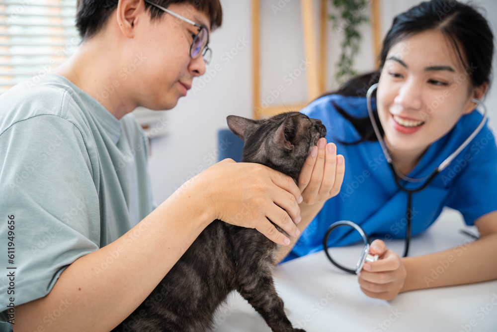 Professional vet doctor helps cat. owner cat holding pet on hands. Cat ...