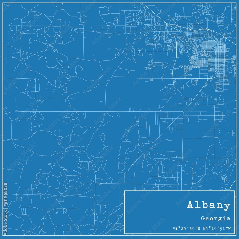 Fototapeta mapa świata dla dzieci Blueprint US city map of Albany, Georgia. | Fototapety dla DZIECI
