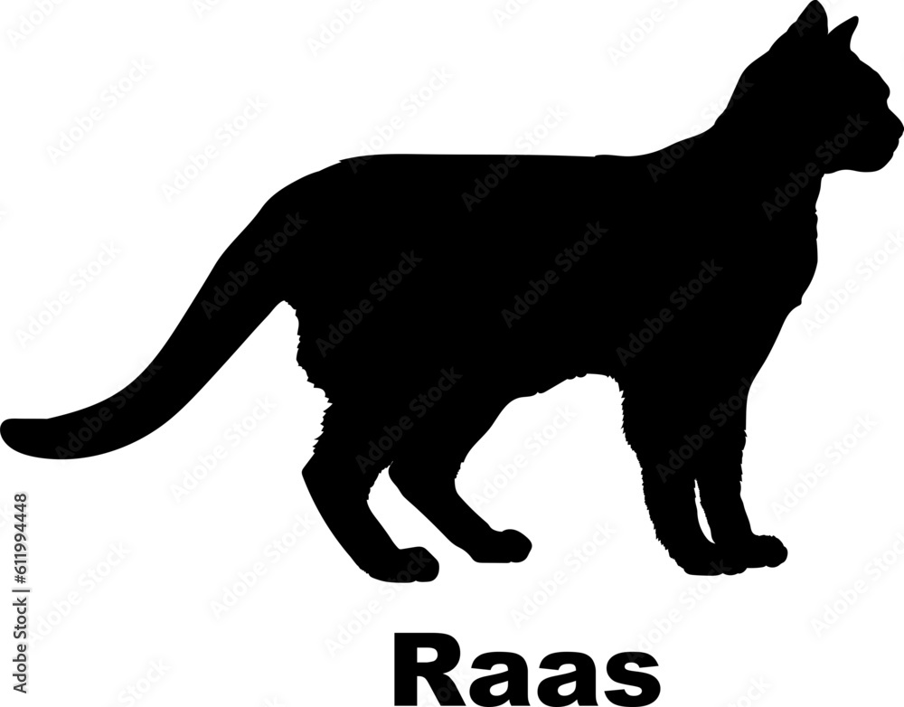 Raas Cat silhouette cat breeds Stock Vector | Adobe Stock
