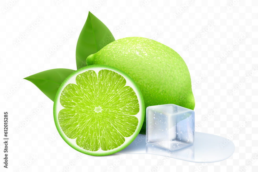 Fresh lime with an ice cube. Composition of elements lime with leaves, half lime, sliced lime ...