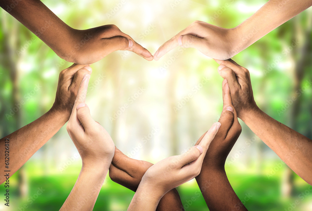 Unity and diversity are at the heart of a diverse group of people ...