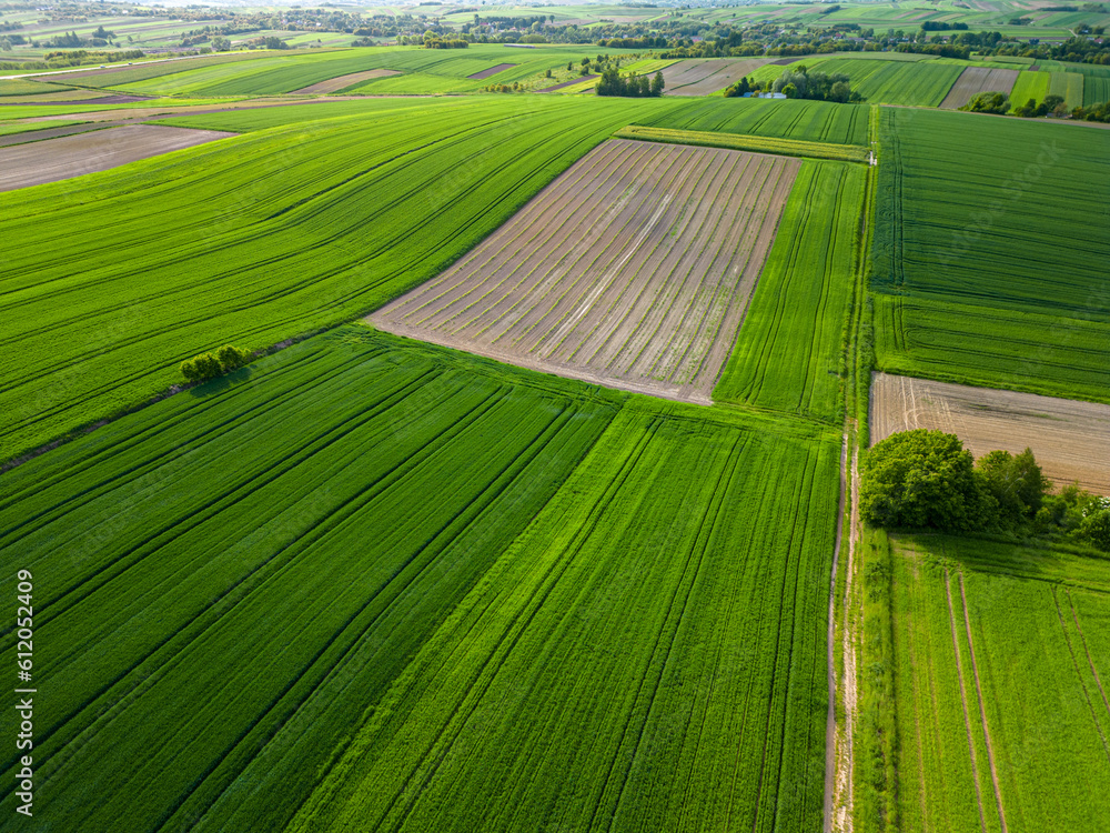 Foto de typical agricultural landscape of Podkarpackie province with ...