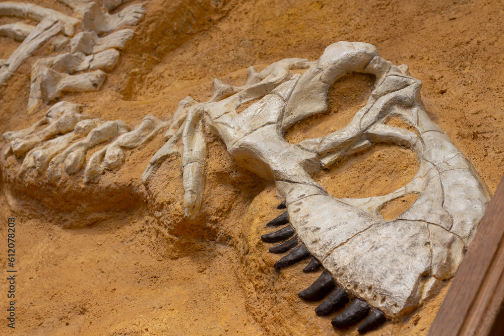 Paris, France. June 1, 2023. National Museum of Natural History ...
