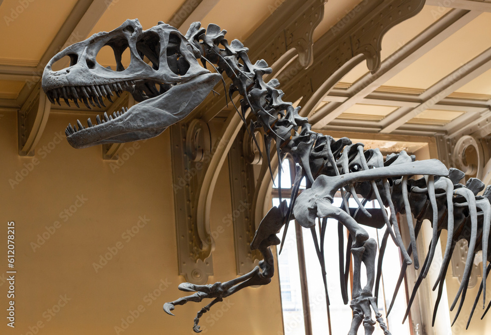 Paris, France. June 1, 2023. National Museum of Natural History ...