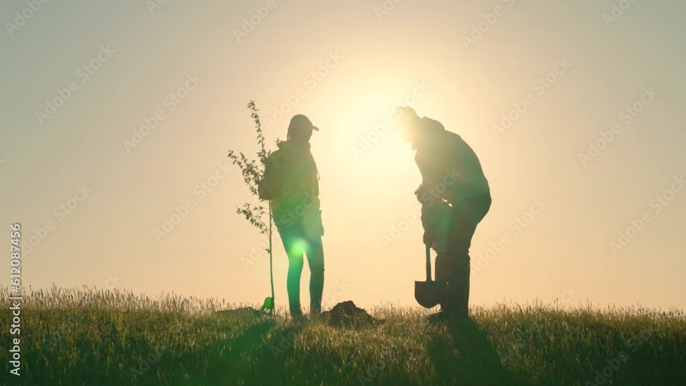 Dad mom child planting tree. Happy family, child planting trees, sunny ...