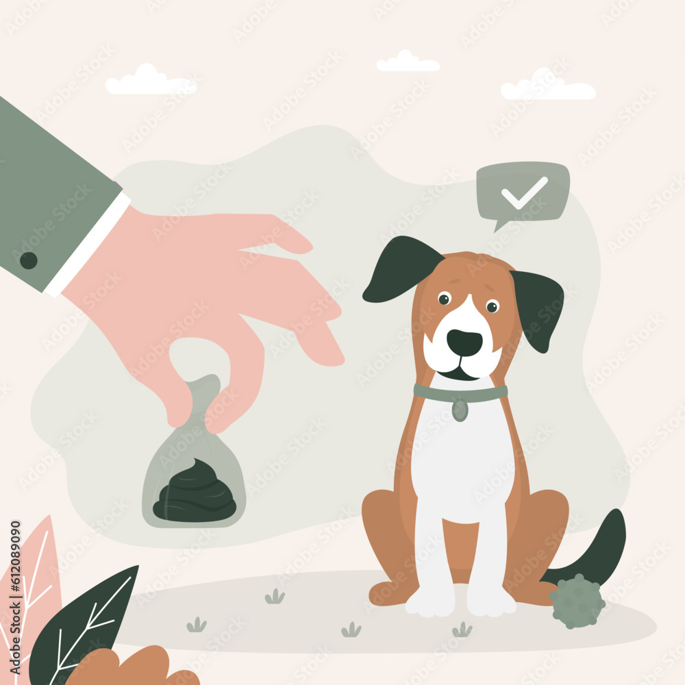 Owner hand holds plastic bag with dog shit. Dog poops during walk ...