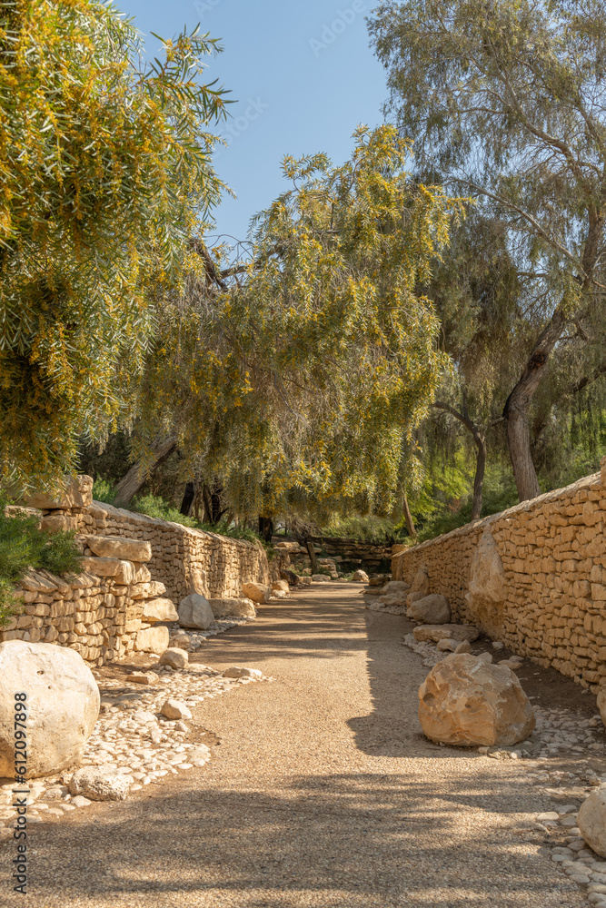 Foto de National Park trees and landscape at Paula and Ben Gurion' grave site at Kibbutz Sde ...