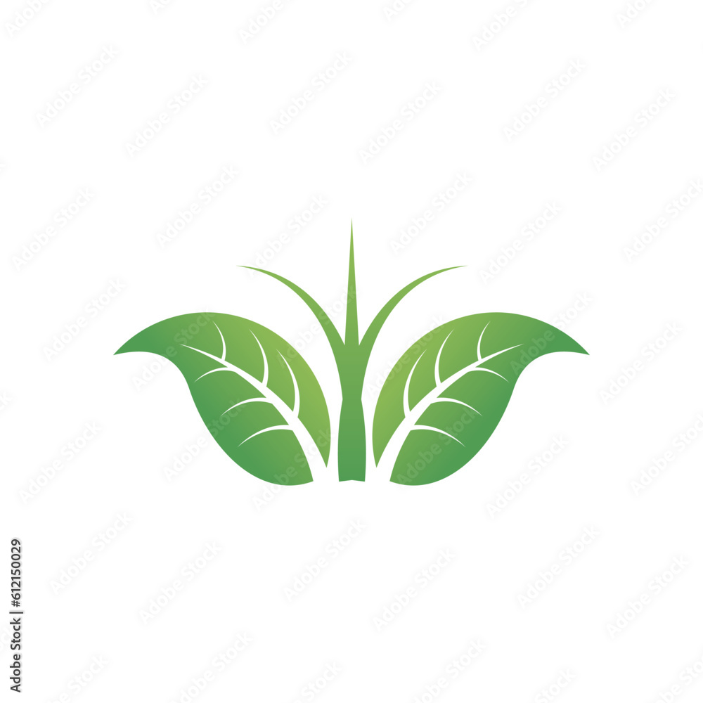 Vektorová grafika „Vector leaf, golden shape, and monochromatic one ... Vektorová grafika „Vector leaf, golden shape, and monochromatic one ...