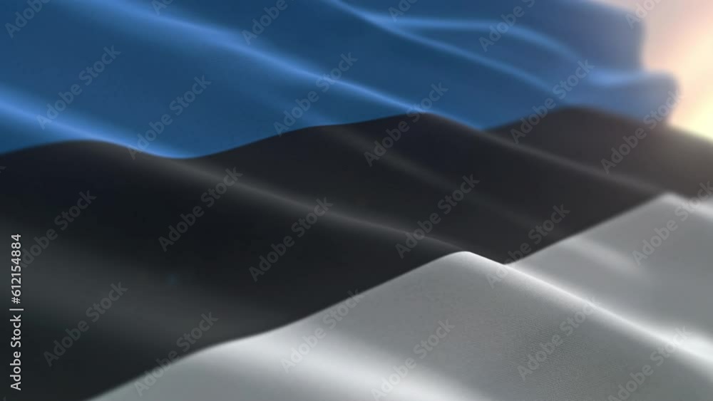 Waving the flag of the Baltic Republic of Estonia country. Waving the ...