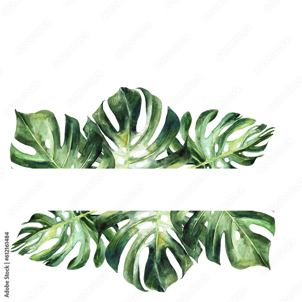 Monstera leaves watercolor border 300 dpi png , cheese plant leaves ...