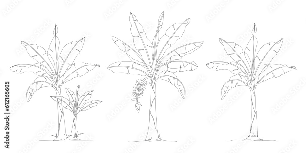 One continuous line drawing of banana tree collection. Banana tree line ...