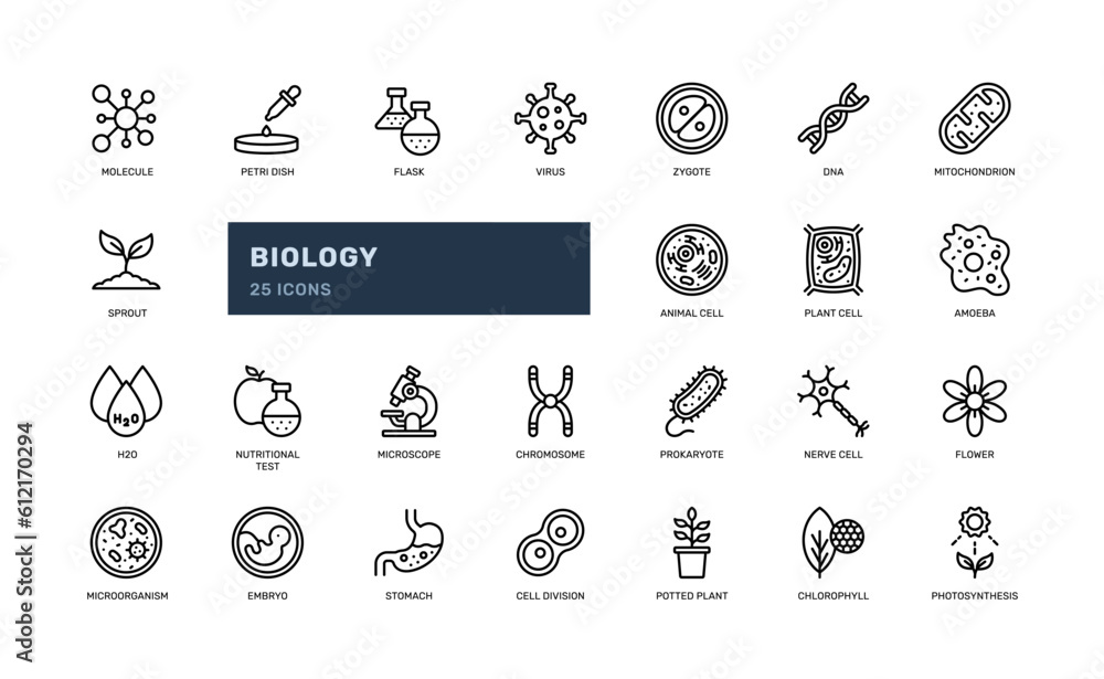 biology science laboratory education school learning detailed outline ...