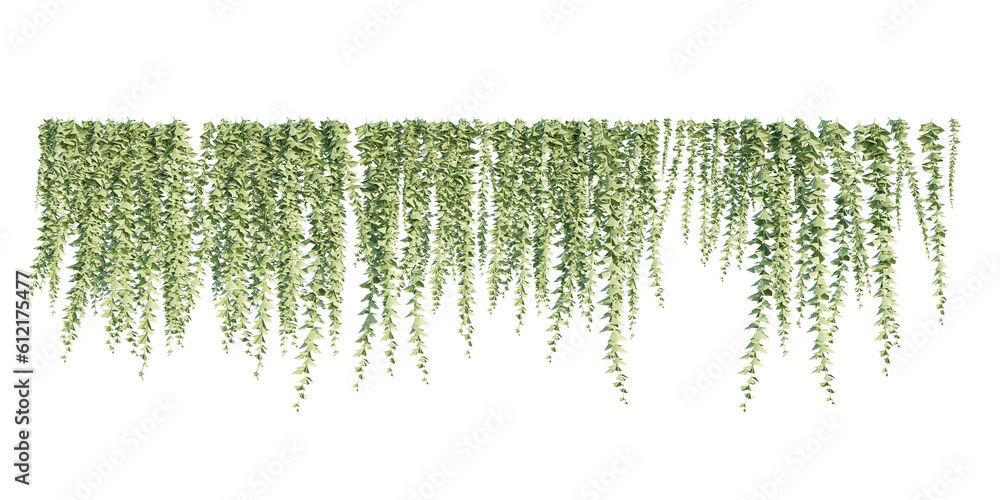 isolated cutout creepers plant or hanging plant, best use for landscape ...
