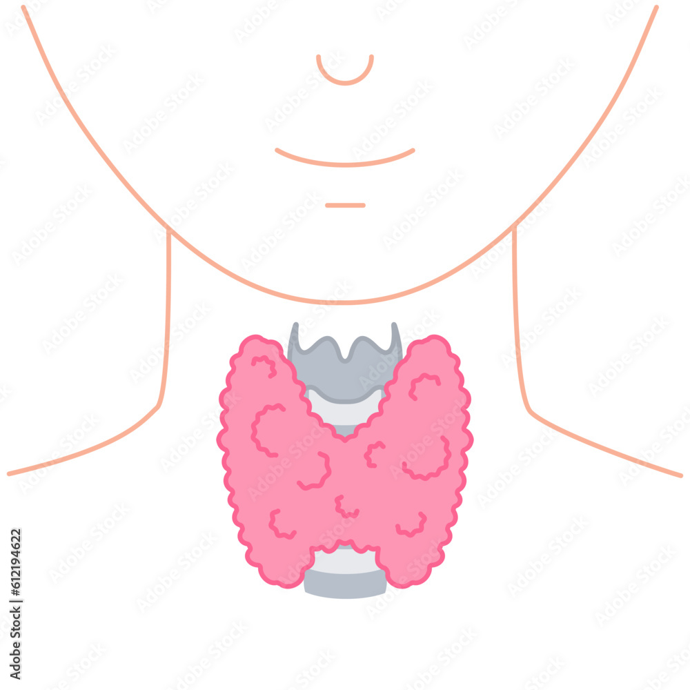 Thyroid gland lobes icon. Faceless body silhouette. Thyroid hormones ...