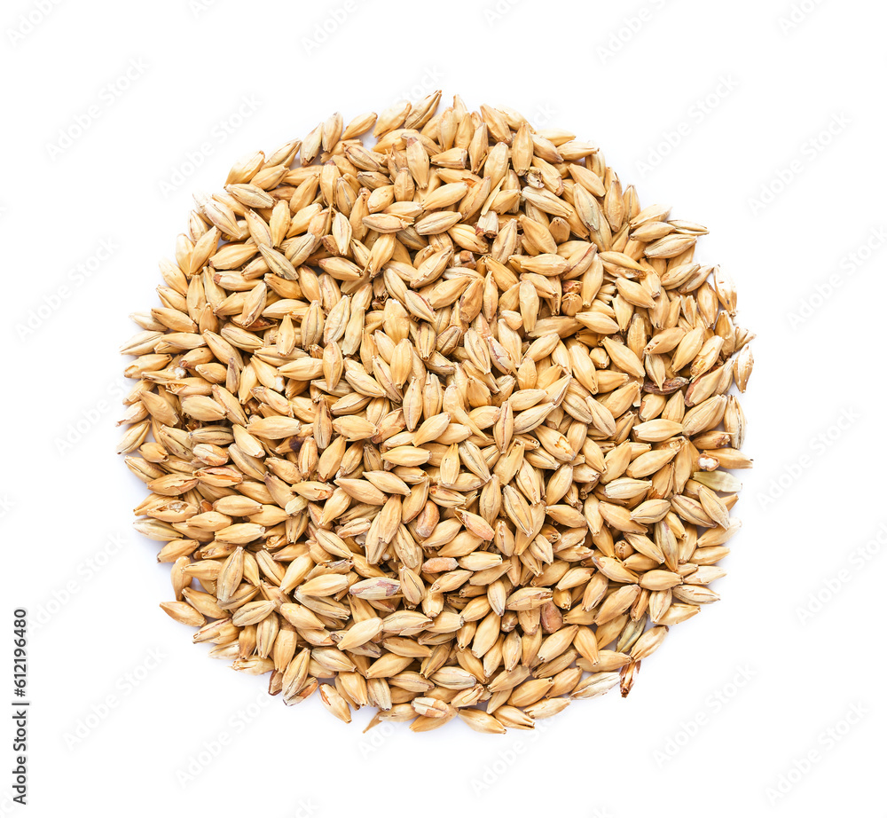 top view overhead flat lay malt barley grain beer whole isolated on ...