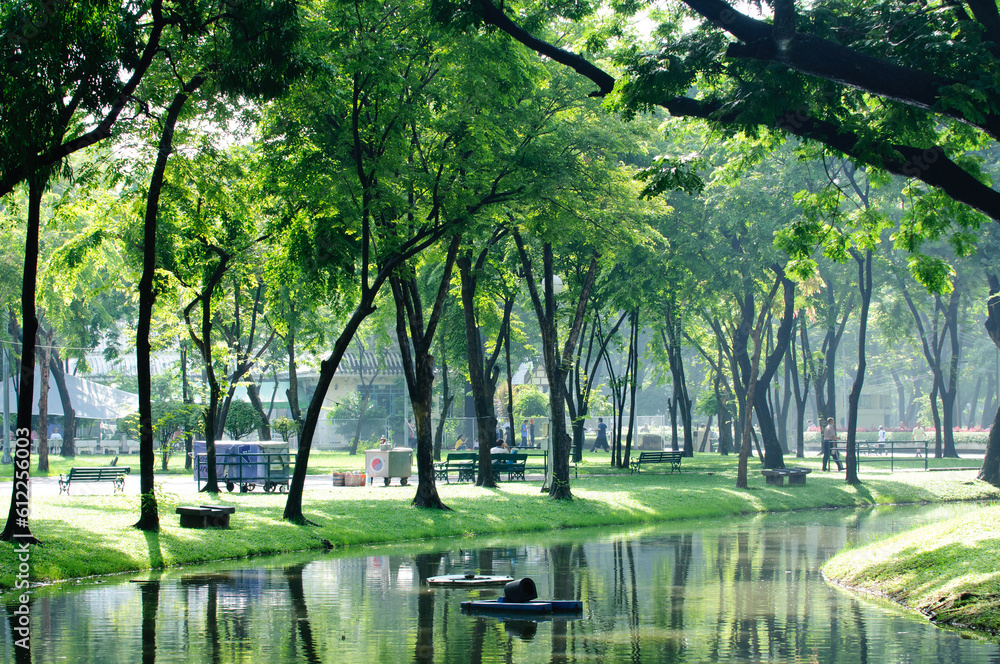 beautiful background images Shady park and nature in Bangkok, exercise ...