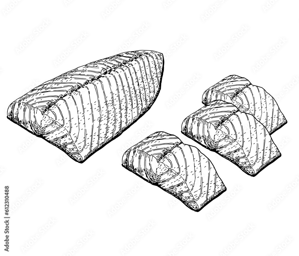 Fillet of fish sketch illustration, ink hand drawing. Fresh fish ...