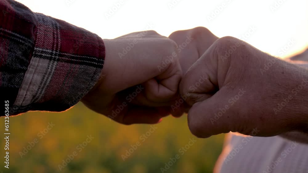 Video Stock Fist to fist is manifestation of solidarity gesture of ...