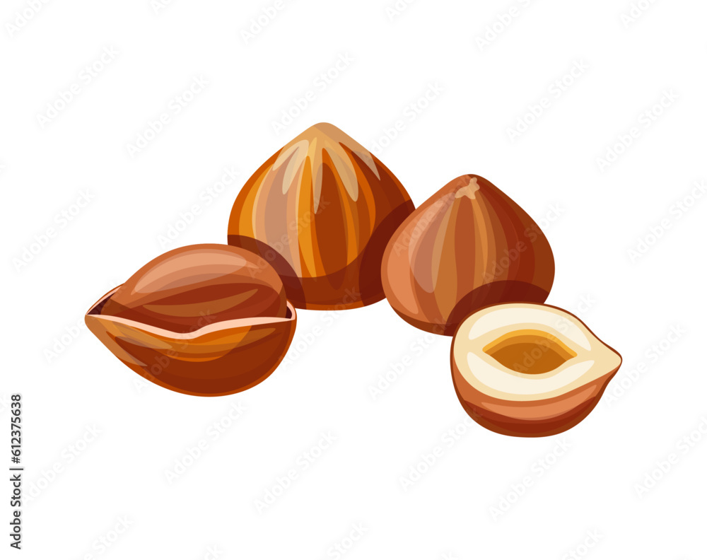 Hazelnut isolated on white background. Vector illustration of a tasty ...