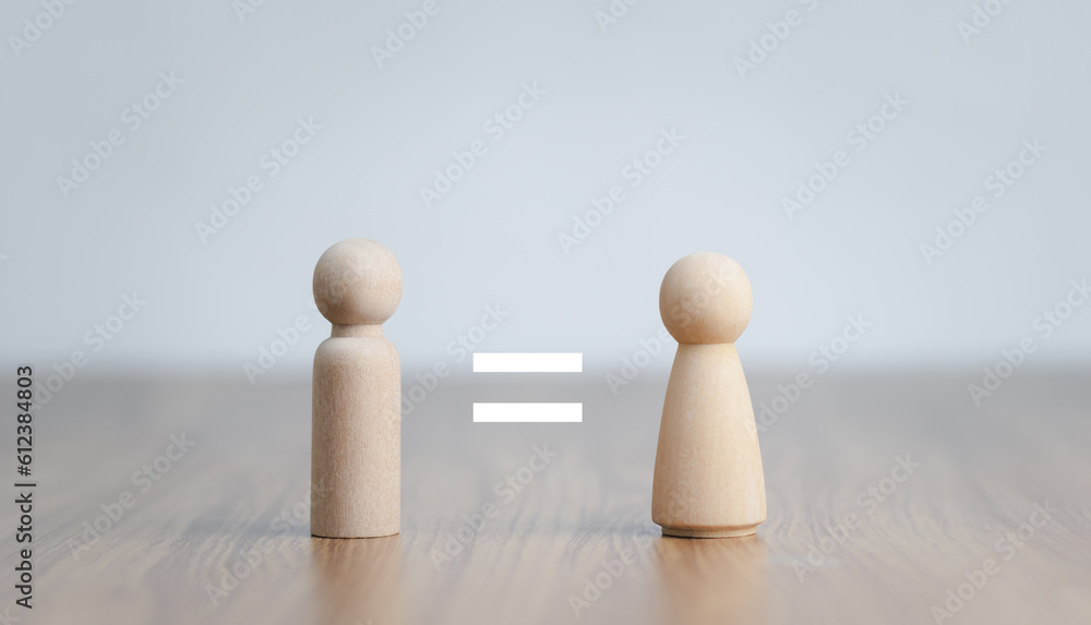 Gender equality concept, Figure wood the men and women Equality between ...