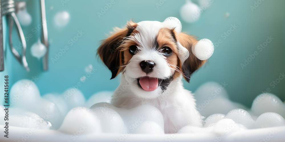 Baby cute puppy dog in bathtub with shampoo foam , Happy dog takes a ...