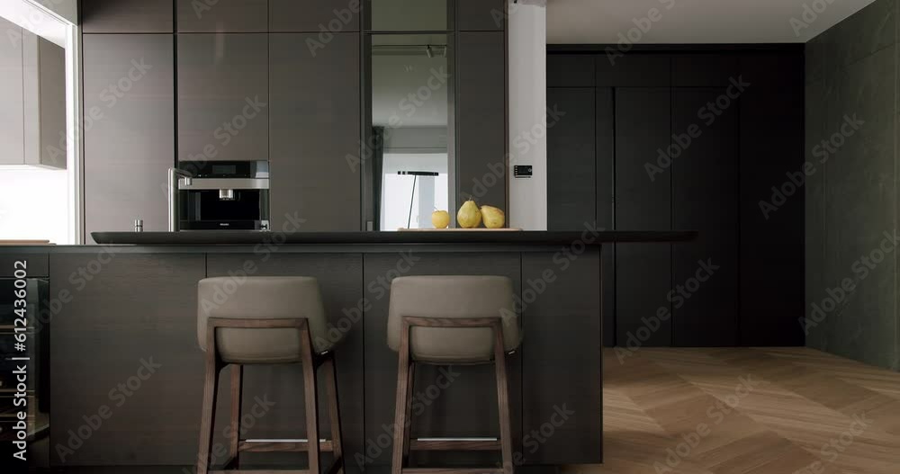 Minimalist Real Apartment. Modern Kitchen Room. Minimalist Furniture ...