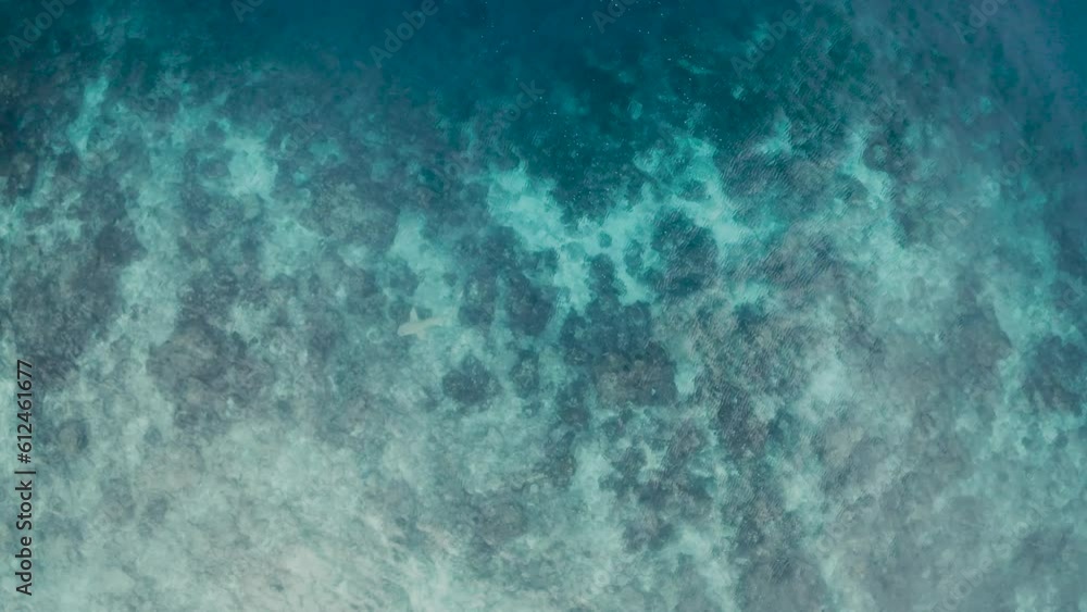 Transparent clear ocean water with rocks and sand visible through the ...