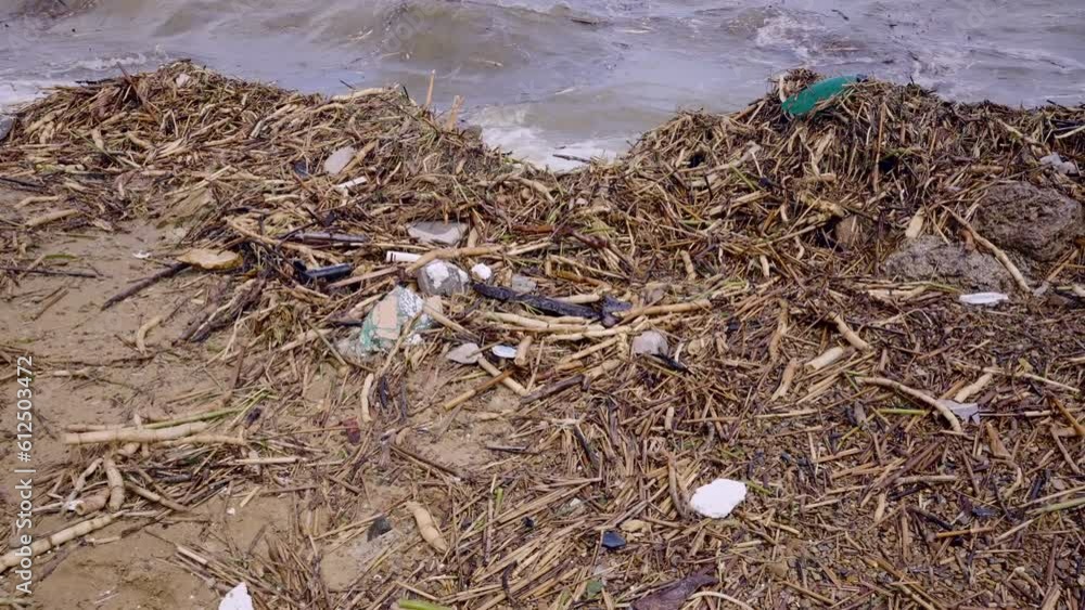 Close-up, Floating debris has reached the Black Sea beaches in Odessa ...