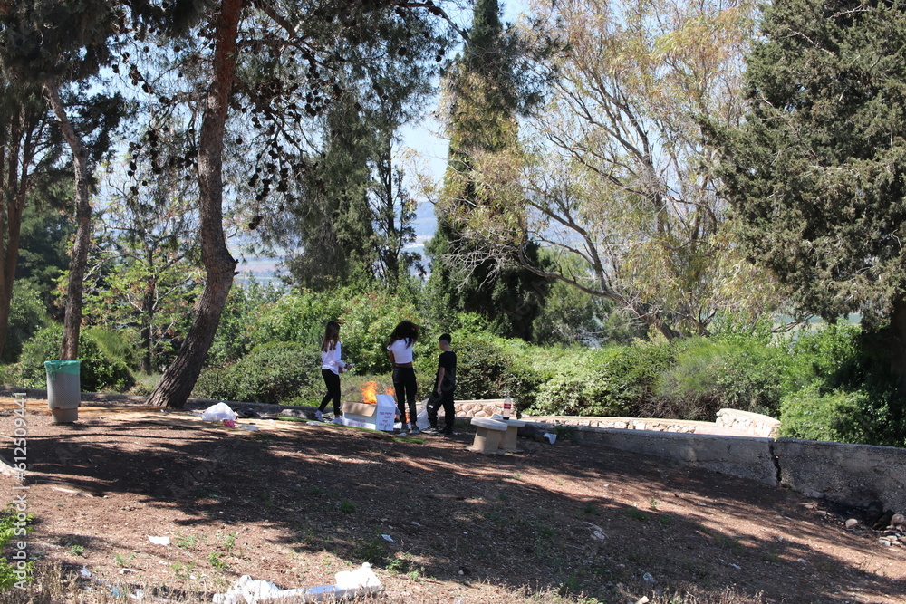 Children have a picnic and a bonfire in nature in a grove among trees ...