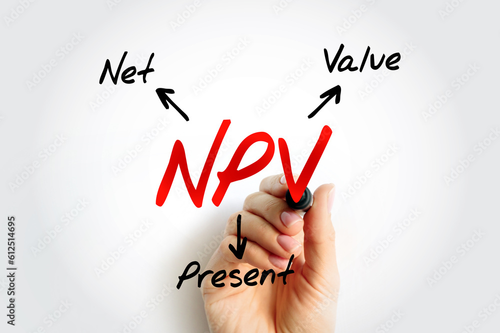 NPV Net Present Value - the cash flows at the required rate of return ...